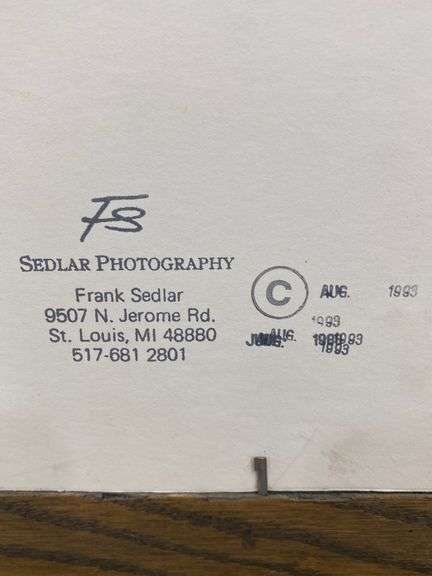 Frank Sedlar bald eagle photograph framed and matted, signed. 3A - Lil ...