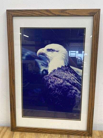 Frank Sedlar bald eagle photograph framed and matted, signed. 3A - Lil ...