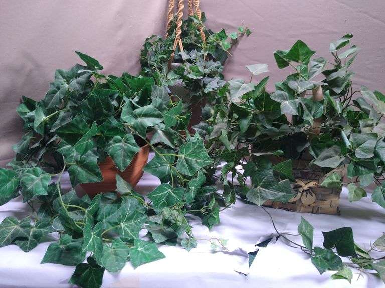 3 English artificial ivy plants in containers - Lil Dusty Online ...