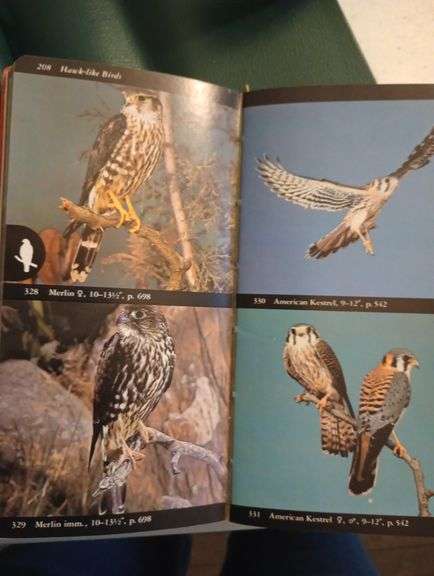 The Audubon Society Field Guide to North American birds - Lil Dusty ...