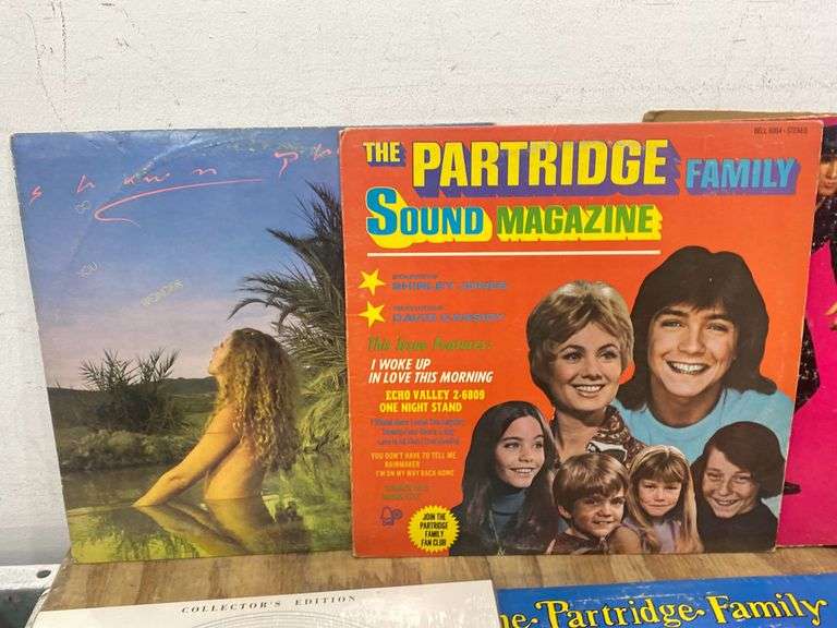 Assortment of record albums - Neil Diamond, Nancy Sinatra, Partridge ...