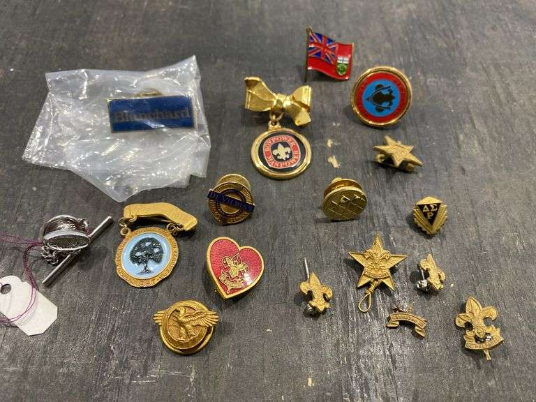 Assorted pins - Lil Dusty Online Auctions - All Estate Services, LLC