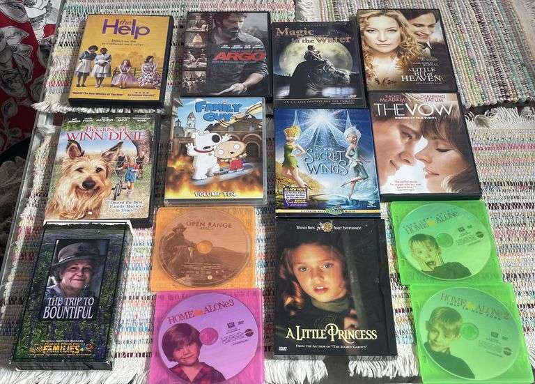 Lot of 13 Various DVDs and 1 VHS - Lil Dusty Online Auctions - All ...