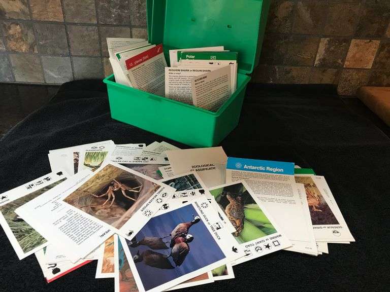 Illustrated Wildlife Treasury Cards in Case - Lil Dusty Online Auctions ...