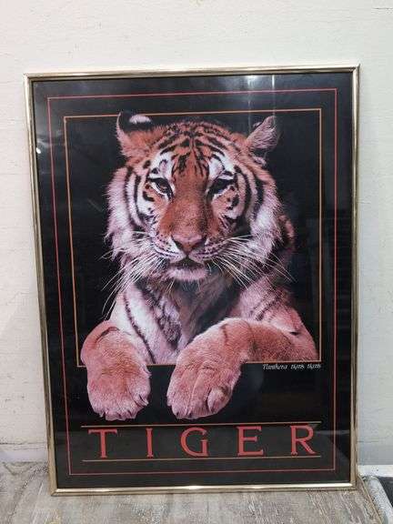 Framed tiger poster 24" x 18". 8a - Lil Dusty Online Auctions - All ...