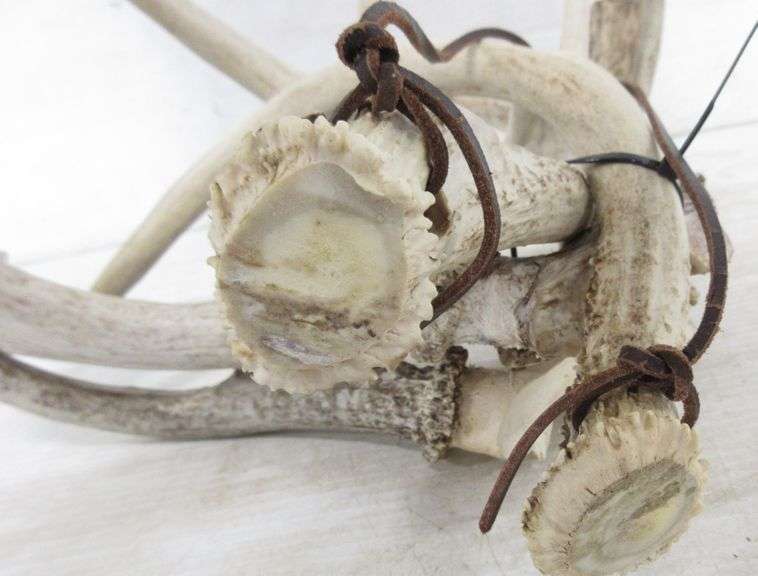 (3) Sets of Whitetail Buck Antlers: Seven-Point, 16"; Heavy Horned ...