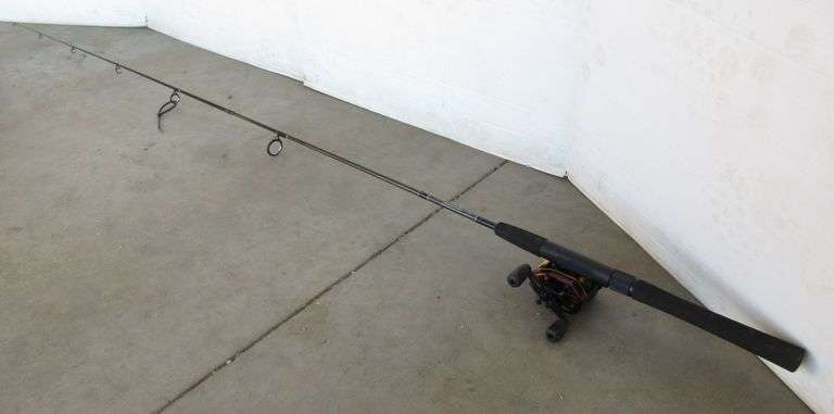 Daiwa Graphite Eliminator Pole with Daiwa TTISX Reel - Albrecht Auction ...