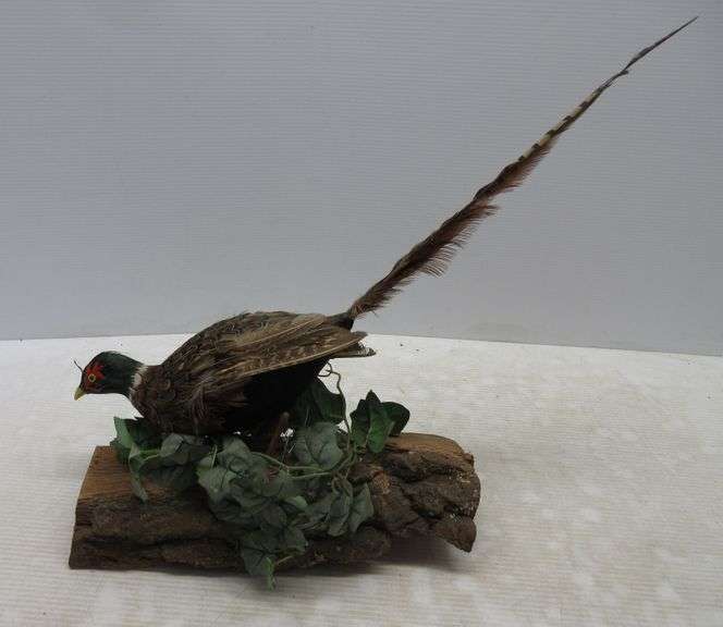 Faux Pheasant on a Small Log - Albrecht Auction Service