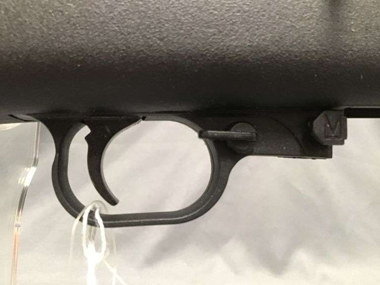 Chiappa M1 Carbine .22 LR Citadel with (2) magazines, never fired or ...