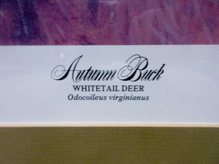 1988 Michigan Wildlife Artist of the Year David Conklin framed and ...