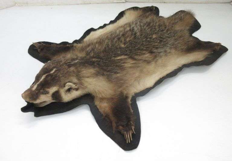 Badger rug, felt bottom, 32"L - Albrecht Auction Service