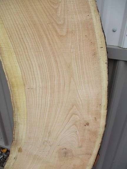 Honey locust live edge rough sawn wood, curved for benches, 12" to 15"W ...