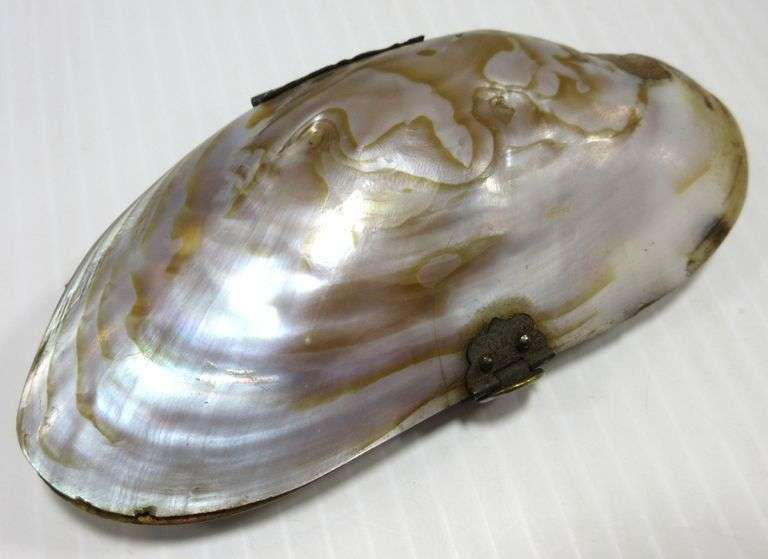 Antique mother of pearl clam shell coin and currency purse, original ...
