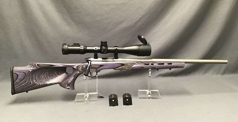 Savage B-Mag .17 WSM, Boyds thumbhole stock, Glades Armory custom bolt ...