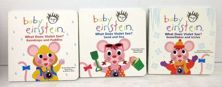 Baby Einstein book collection, all but one are good - Albrecht Auction ...