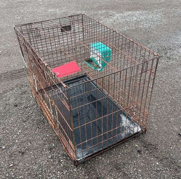 Large dog crate turned into rabbit cage - Albrecht Auction Service