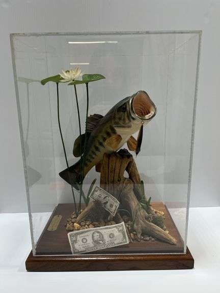 Mounted bass on stand with case, bass- 10 1/2"L, case- 11"W x 8"D x 15 ...