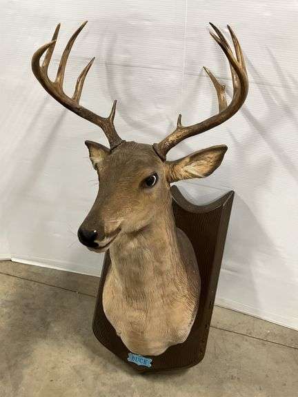 Bucky the singing and talking buck, comes with remote control and ...