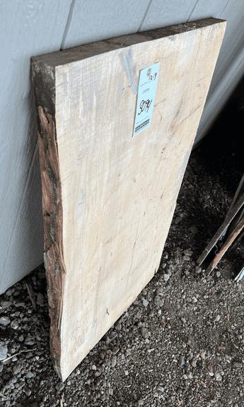 Spalted red maple live edge rough sawn, 23" to 24"W x 1 1/2"Thick x 36 ...