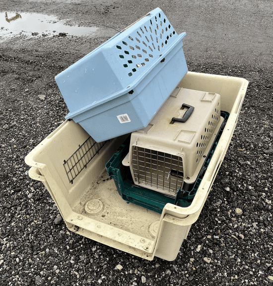 (4) Animal crates, up to 2' x 3', used - Albrecht Auction Service