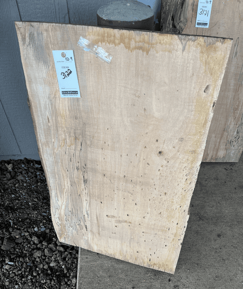Spalted red maple live edge rough sawn, 22" to 24"W x 1 1/2"Thick x 36 ...