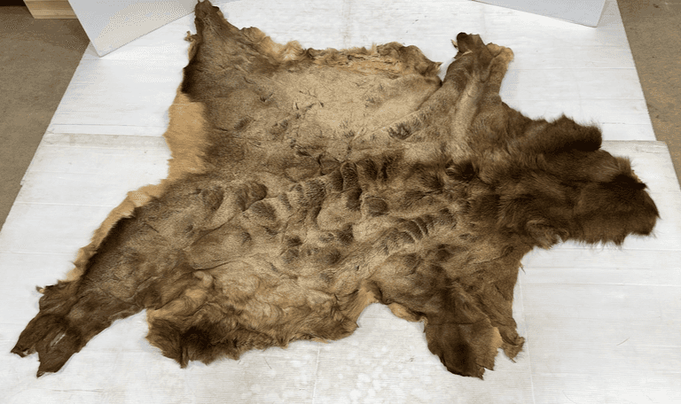 App Lange tanned elk hide, 6' x 5', pelt, very nice - Albrecht Auction ...