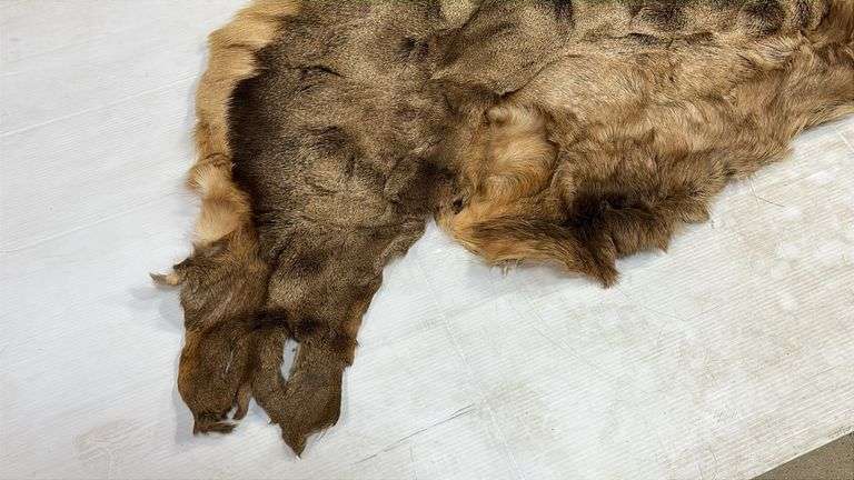 App Lange tanned elk hide, 6' x 5', pelt, very nice - Albrecht Auction ...