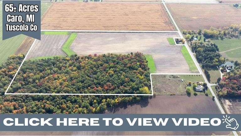 Property consists of 40± acres of Tiled Farmland with 25± acres of ...