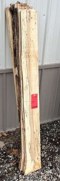 (9) Spalding maple pieces, live edge, rough sawn, 5" to 8"W x 1"Thick x ...