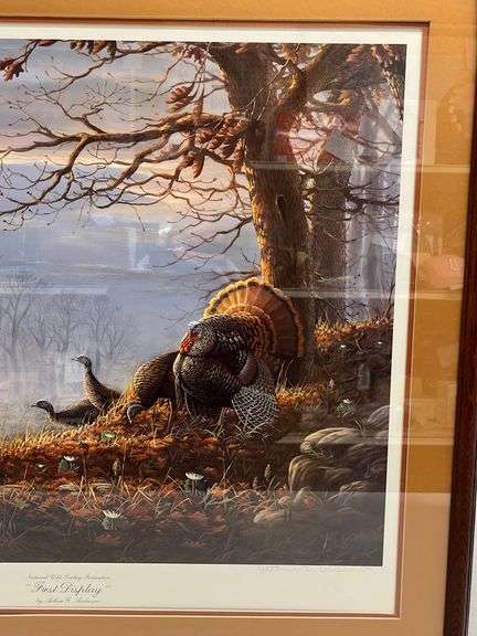 Arthur G. Anderson print, "First Display", one tom turkey and three ...