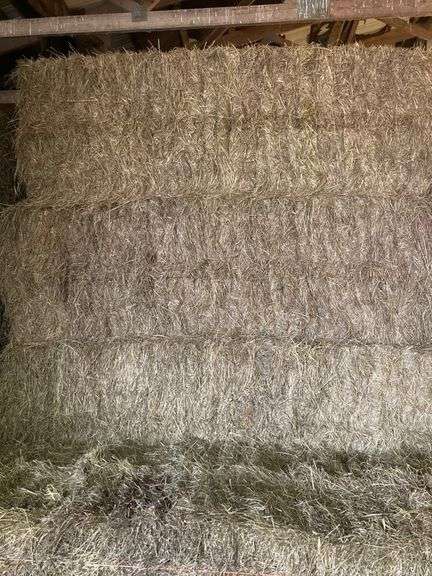 (1)-Bale of Grass Hay, 3' x 4' x 8', No Rain, Good for Beef Cows, NOTE ...