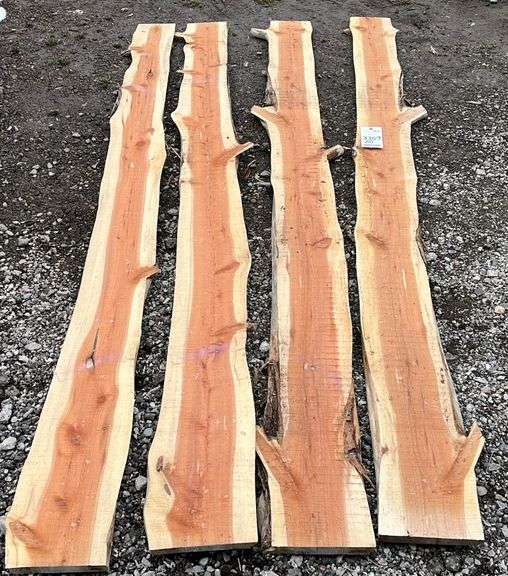 (4) Red cedar slabs, Live Edge, Rough Sawn, include: Three- 6" to 8"W x ...