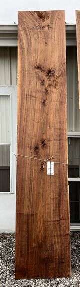 Black walnut rough sawn board, planed on both sides, live edge, 21"W x ...