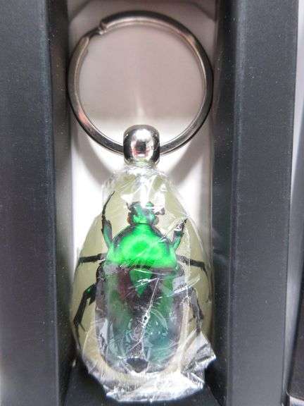 (3) Real insect keychains: 1- Scorpion, and 2- Metallic green rose chafer beetles, new ...