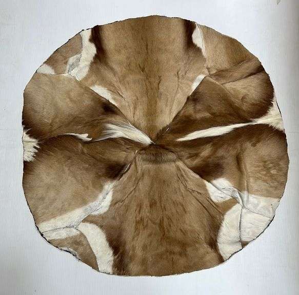 South African Gemsbok hide, 38"Dia for table or wall - Albrecht Auction ...