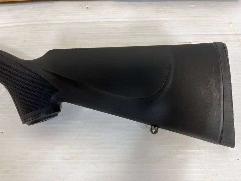 Traditions Evolution LD .50 Cal. Bolt Action Muzzleloader - Albrecht ...