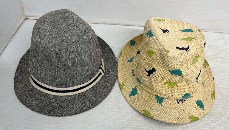 (2) Fedoras, size 2T, includes: 1- Gray, and 1- with dinosaurs, used ...