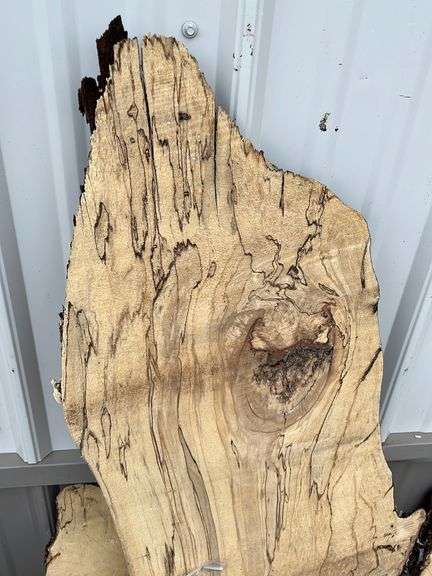 Spalted maple piece, live edge, rough sawn, 12" to 20"W x 1 1/2"Thick x ...