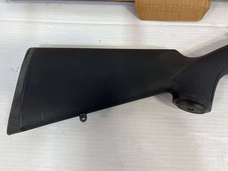 Traditions Evolution LD .50 Cal. Bolt Action Muzzleloader - Albrecht ...