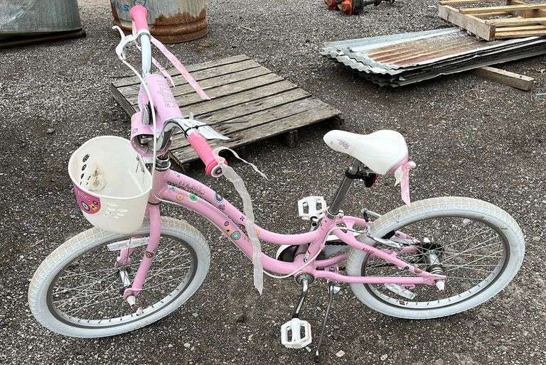 Trek Mystic girls bike, 20" - Albrecht Auction Service