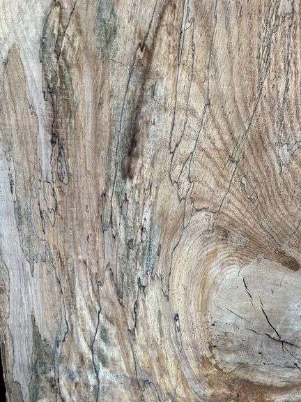Spalted red oak, live edge, rough sawn, 19" to 22"W x 2"Thick x 55"L ...
