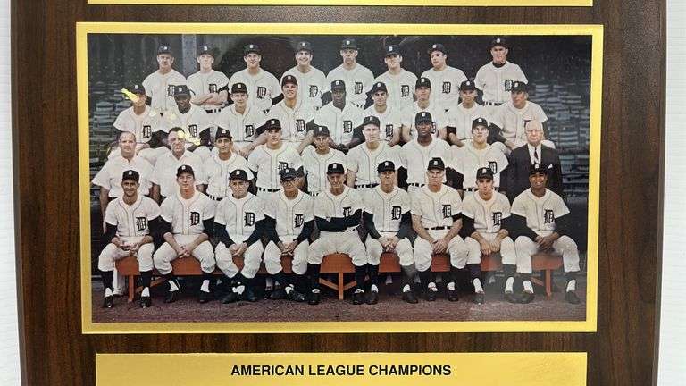 1968 Detroit Tiger World Champion plaque, roster/record/world series ...