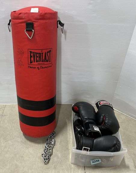 Everlast punching bag with chains, and more to hang from ceiling, with ...