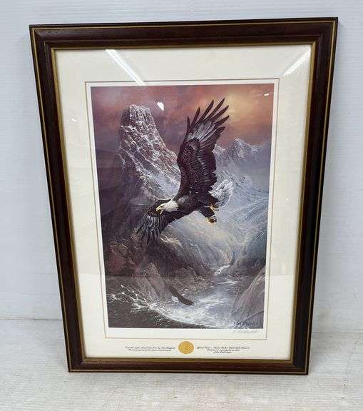 Bald Eagle Alaska Art Print