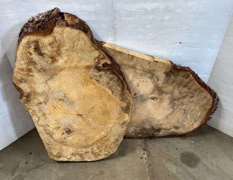(2) Spalding maple slices, live edge, rough sawn, 24" to 37"W x 3 1/2 ...