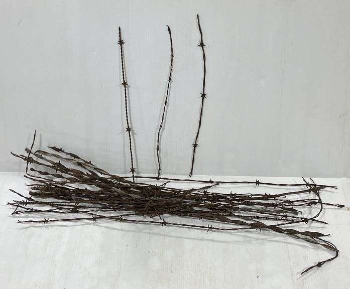 Several barbed wire samples, several different types of barbed wire, up ...