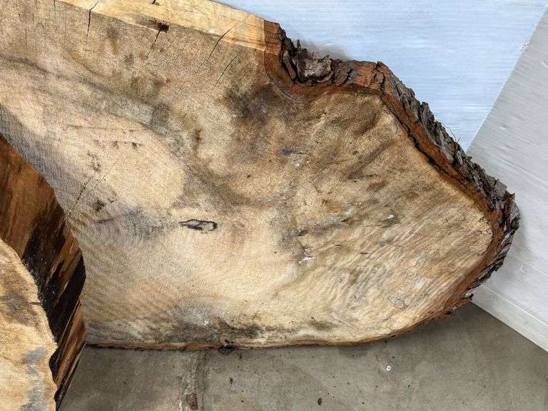 (2) Spalding maple slices, live edge, rough sawn, 24" to 37"W x 3 1/2 ...