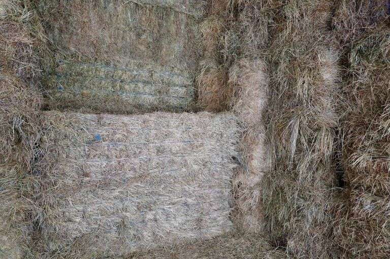 (18)-Bales of 1st Cutting Grass Hay, 3' x 3' x 8', Average Weight of ...
