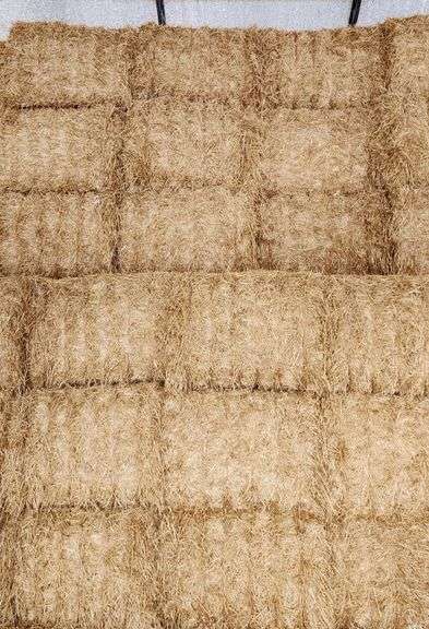 (36)-Bales of Large Square Dry Wheat Straw Bales, 3' x 4', NOTE: You ...