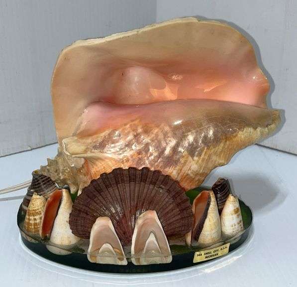 Old shell TV lamp, 8"W x 6 1/2"H, works - Albrecht Auction Service